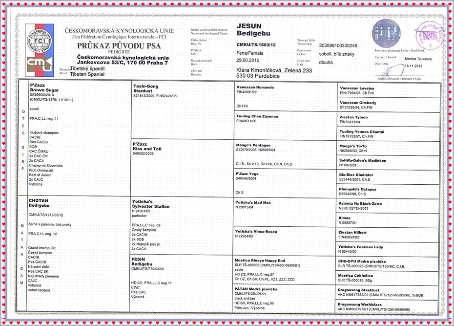 Jesun Bedigebu :: Tibetský španěl ch.s. Mountain Daisy